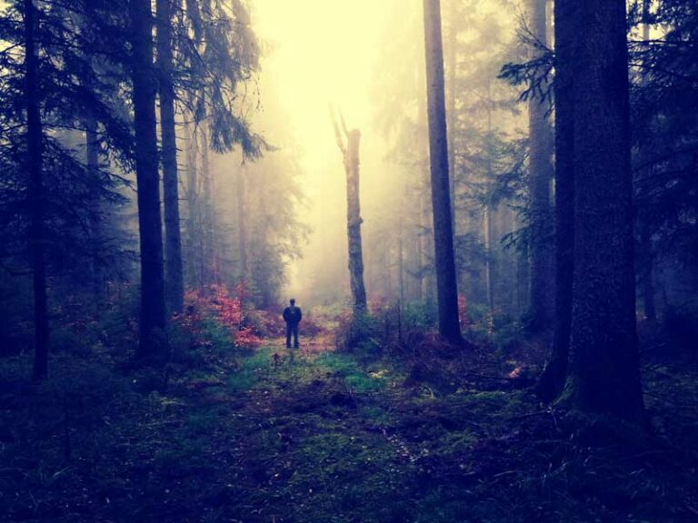 #mindfulmonday Achtsamkeitsübung - Sich erden - Frau Achtsamkeit ...